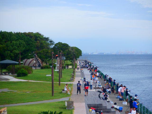 9月21日釣場情報（8:30現在） - 横須賀市観光協会