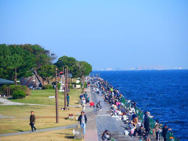 10月13日釣場情報（8:30現在） - 横須賀市観光協会