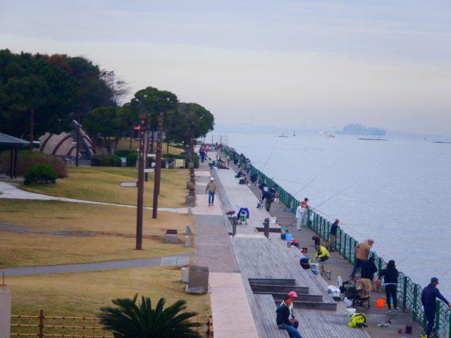 11月12日釣場情報（8:30現在） - 横須賀市観光協会