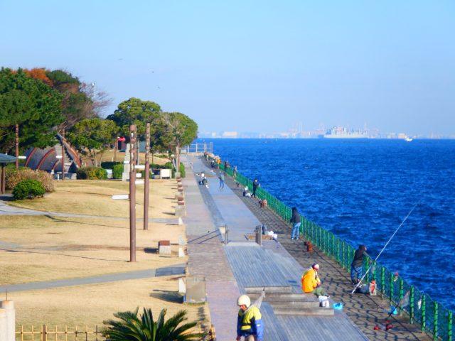 11月26日釣場情報（8:30現在） - 横須賀市観光協会