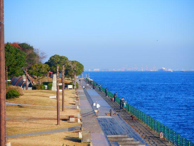 12月 3日釣場情報（8:30現在） - 横須賀市観光協会