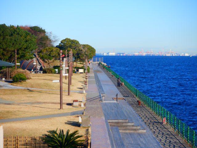 12月10日釣場情報（8:30現在） - 横須賀市観光協会