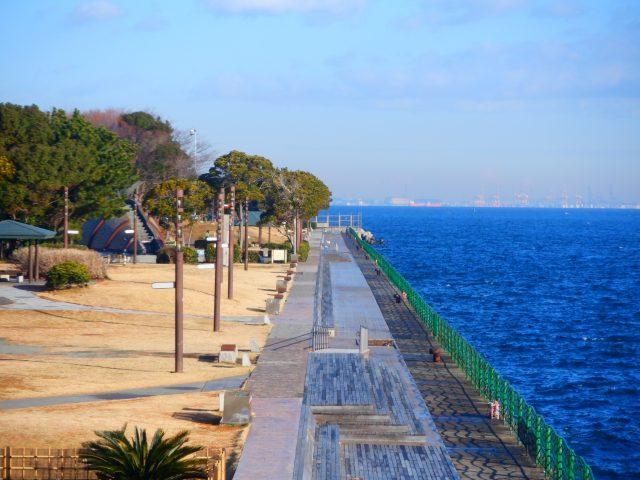 2月13日釣場情報（8:30現在） - 横須賀市観光協会