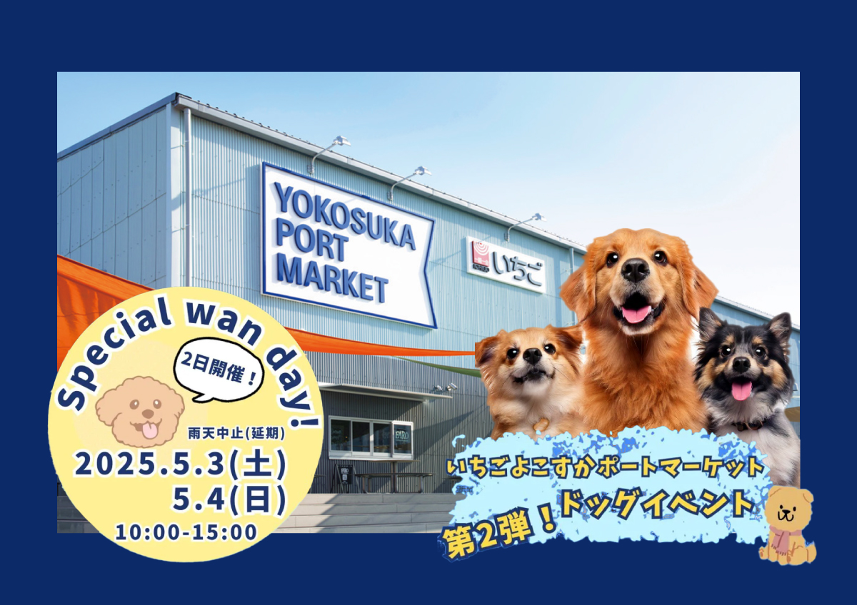 special wan day! inよこすかポートマーケット 第2回開催！ - 横須賀市観光協会
