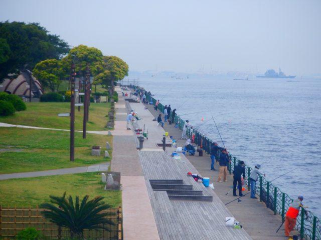 5月29日釣場情報（8:30現在） - 横須賀市観光協会