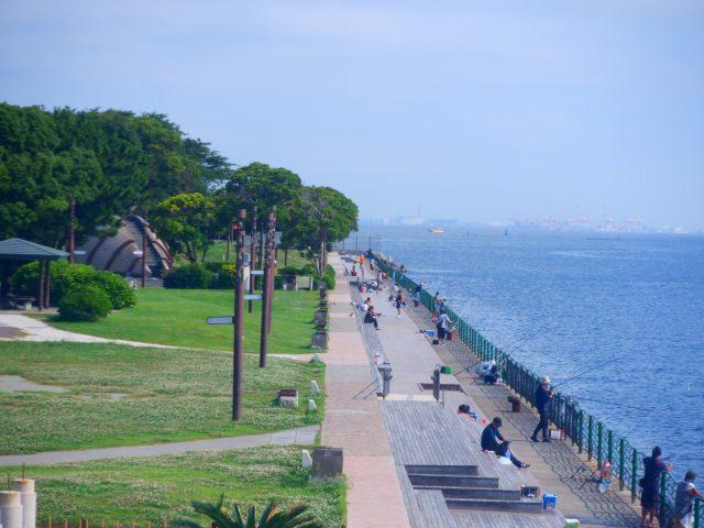 7月3日釣場情報（8:30現在） - 横須賀市観光協会