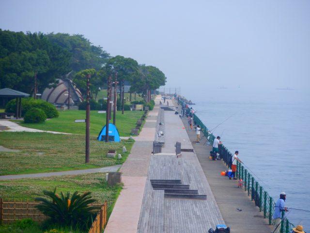 7月7日釣場情報（8:30現在） - 横須賀市観光協会